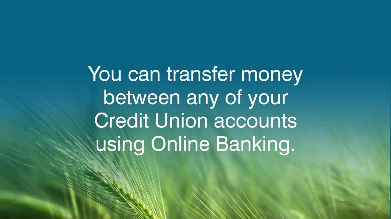 How to Transfer Money in Online Banking - YouTube
