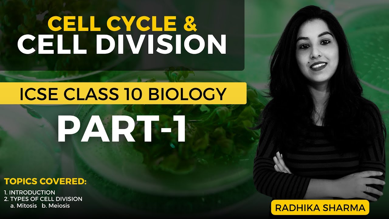 Cell Cycle Cell Division ICSE CLASS 10 Biology Part 1 YouTube cell-cycle-cell-division-icse-class-10-biology-part-1-youtube