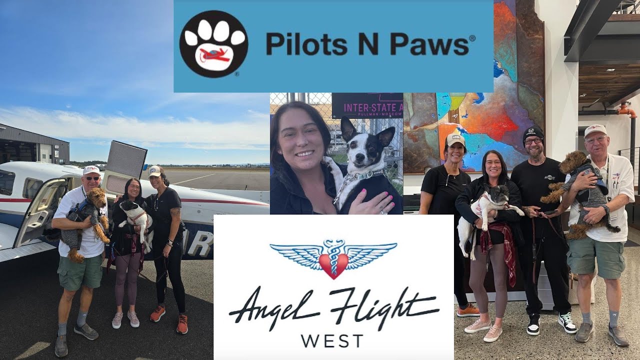 Angel Flight and Pilots and Paws mission combined - YouTube