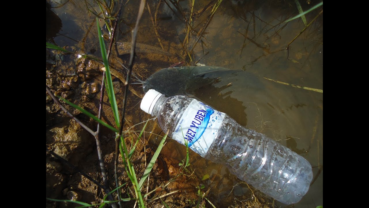 Amazing Fishing - Free line fishing in the great lake - Cambodian ...