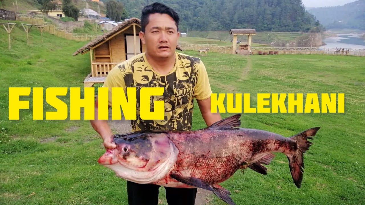 Fishing kulekhani / big size/ local guys - YouTube