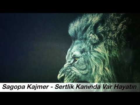 Sagopa Kajmer - Sertlik Kanında Var Hayatın