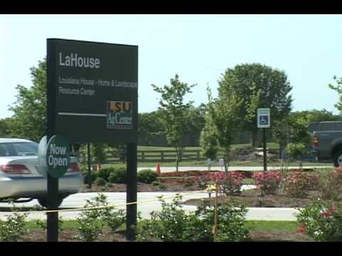 LSU LAHouse - YouTube