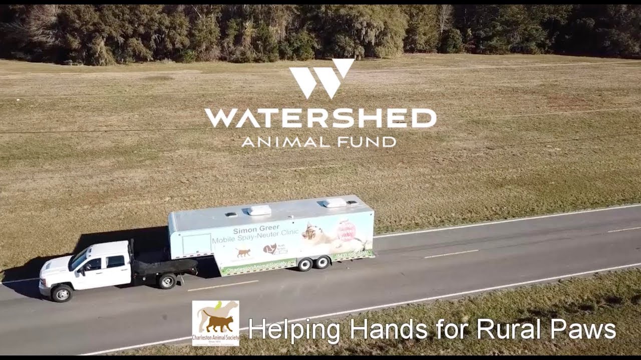 Helping Hands for Rural Paws - YouTube