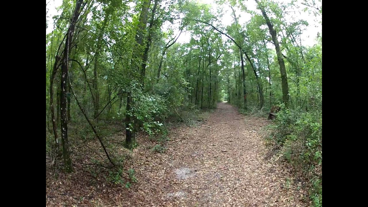 Dunn's Farm Trail in Jennings State Forest - YouTube