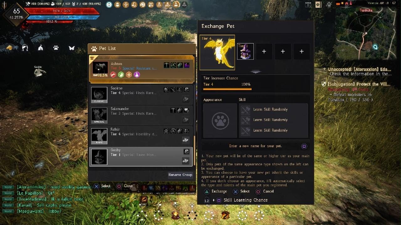 Black Desert 9% combat exp pet lol - YouTube