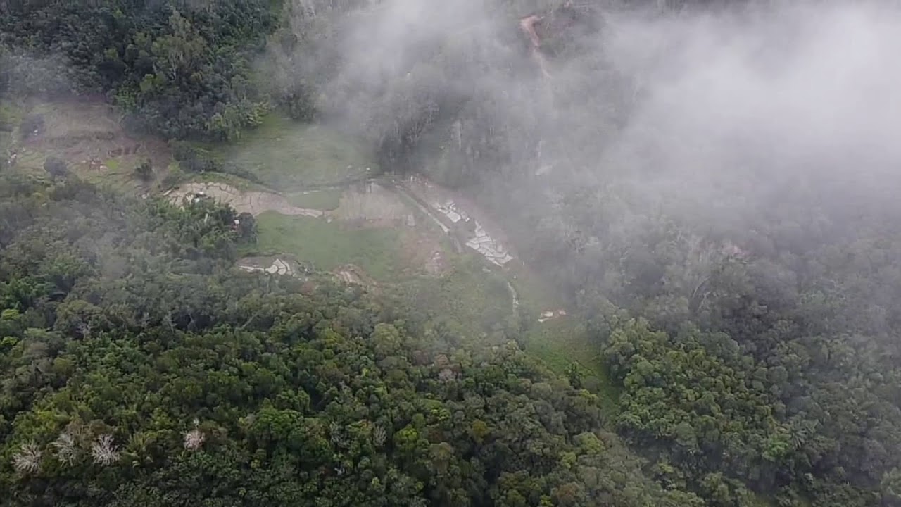 Dambatu/ Tambatu Footage - YouTube