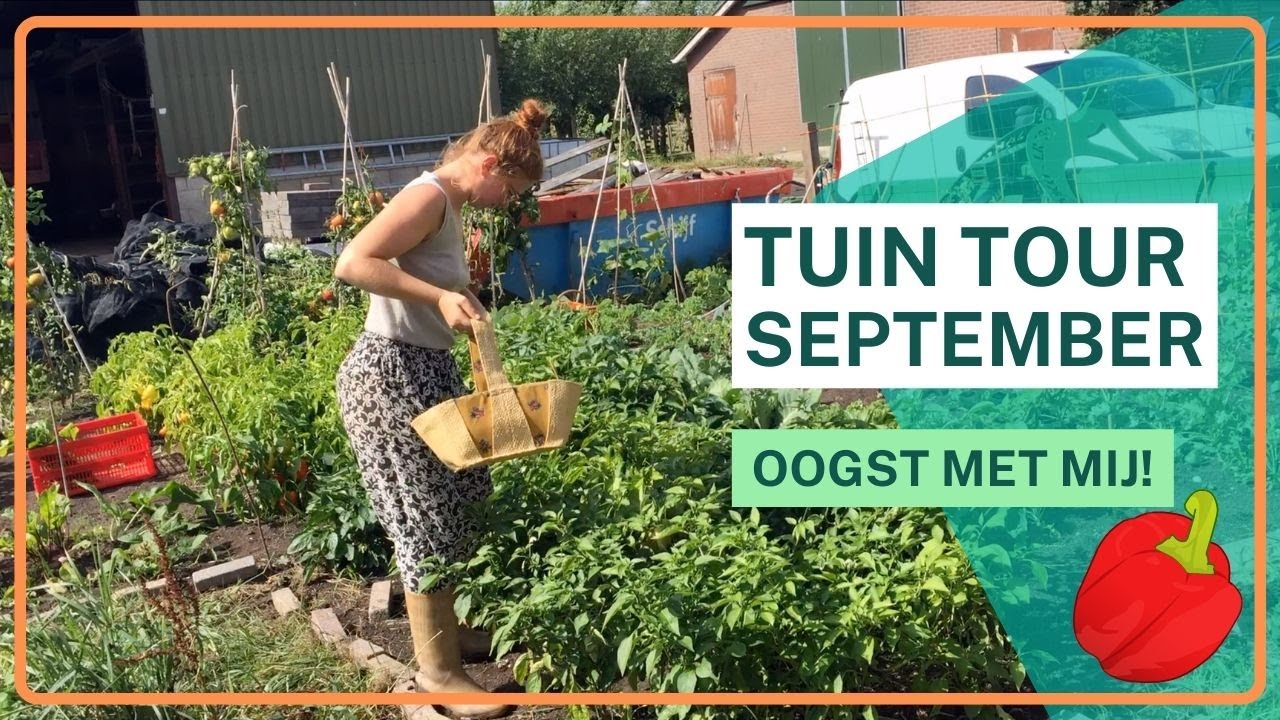 TUIN TOUR SEPTEMBER | Moestuin | Oogst met mij - YouTube