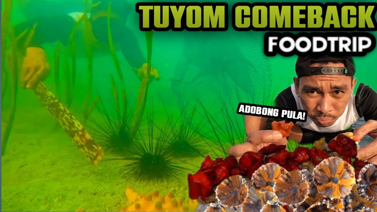 TUYOM ADVENTURE COMEBACK | BUHAY PROBINSYA | MarinongDj - YouTube