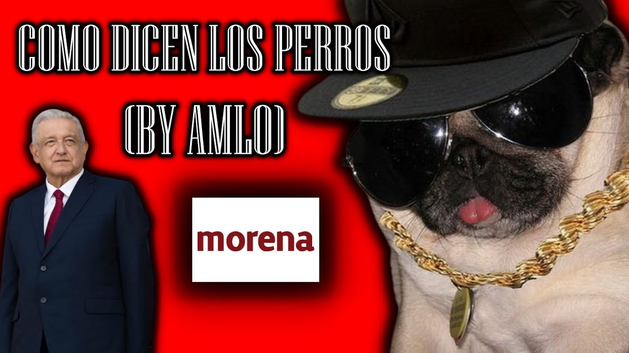 AMLO - COMO DICEN LOS PERROS (IA COVER) - YouTube