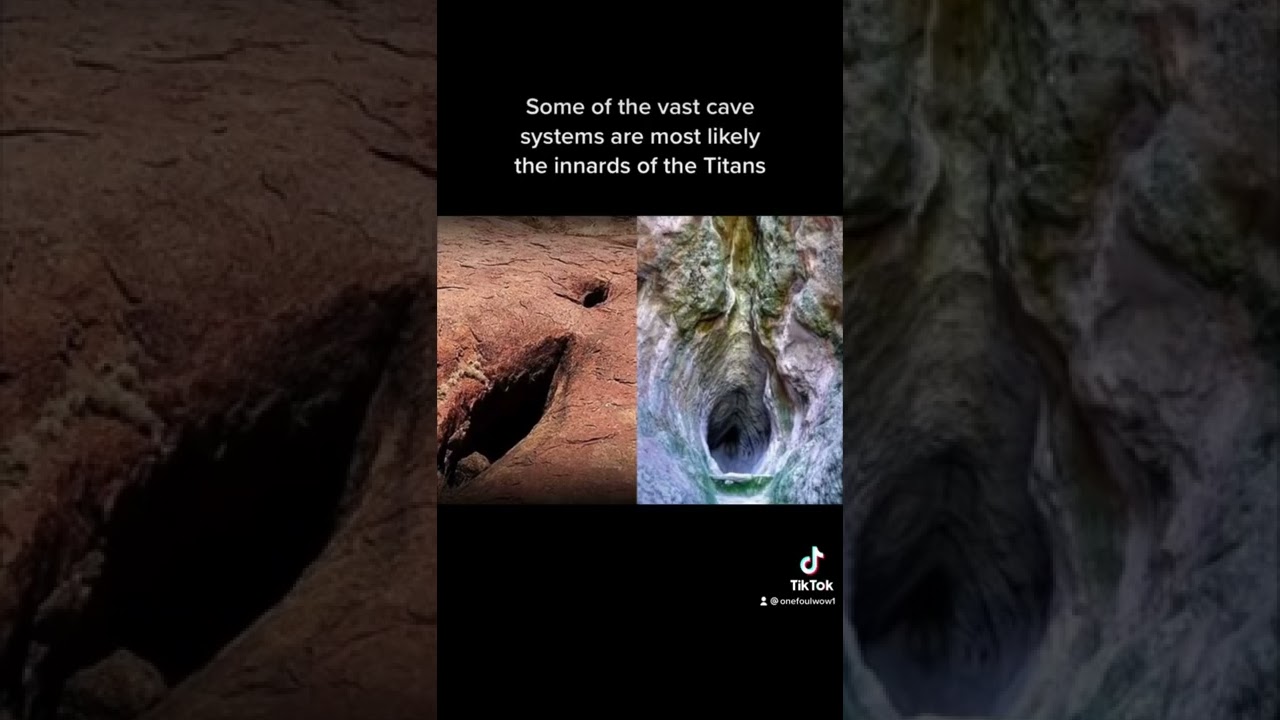Petrified giants #petrified #giants #stone #rock #petrifiedwood - YouTube
