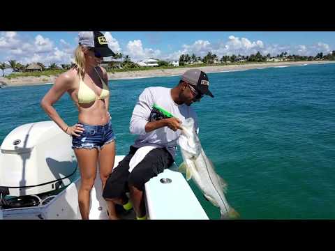 BIGGEST Snook Fishing Spot on the PLANET!