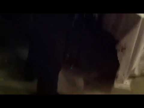 Ucar Toyu Aynur Goycayli