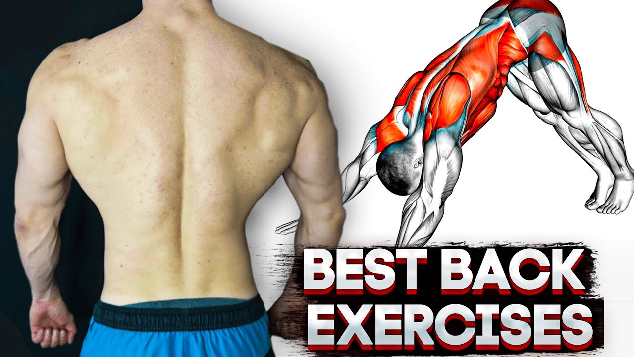 SIMPLE BACK WORKOUT AT HOME / No Equipment Needed - YouTube