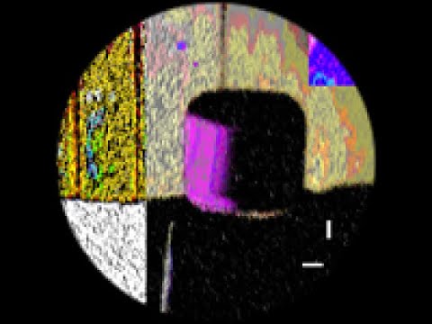 BEAR* - GRANDMASTER BADGE - YouTube