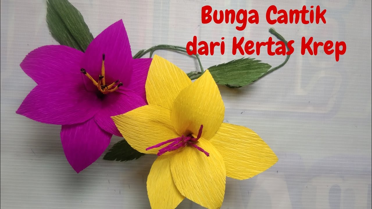 KERAJINAN TANGAN DARI KERTAS KREP - BUNGA CANTIK DARI KERTAS KREP ...