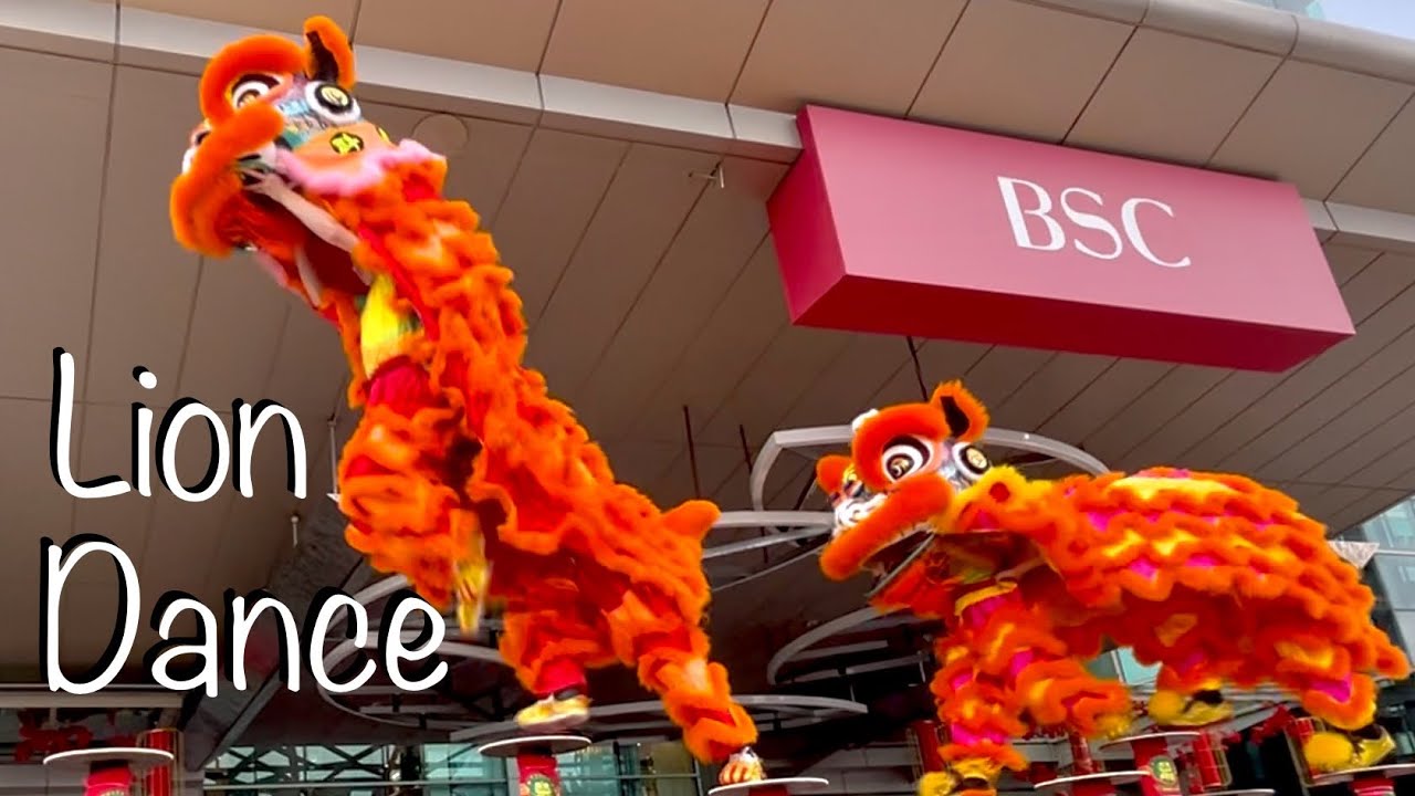 Up close with a super acrobatic lion dance! - YouTube