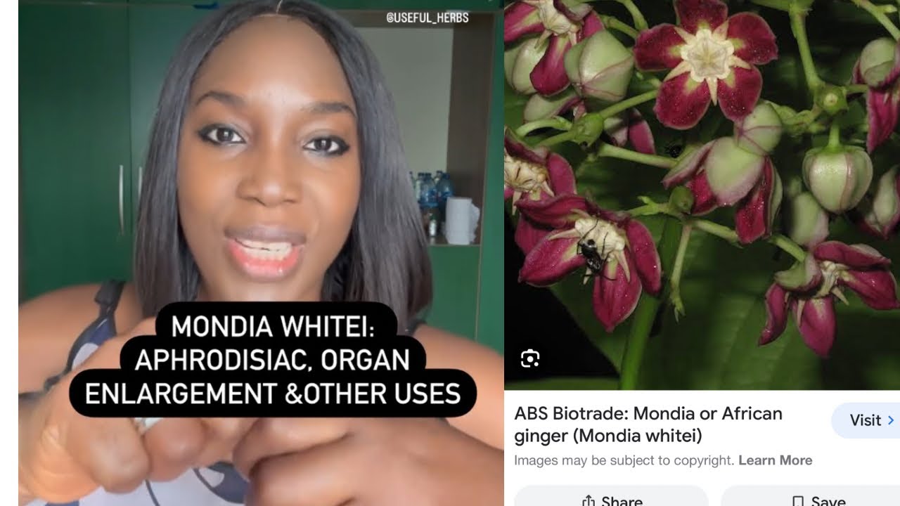 Uses of Mondia Whitei roots - YouTube