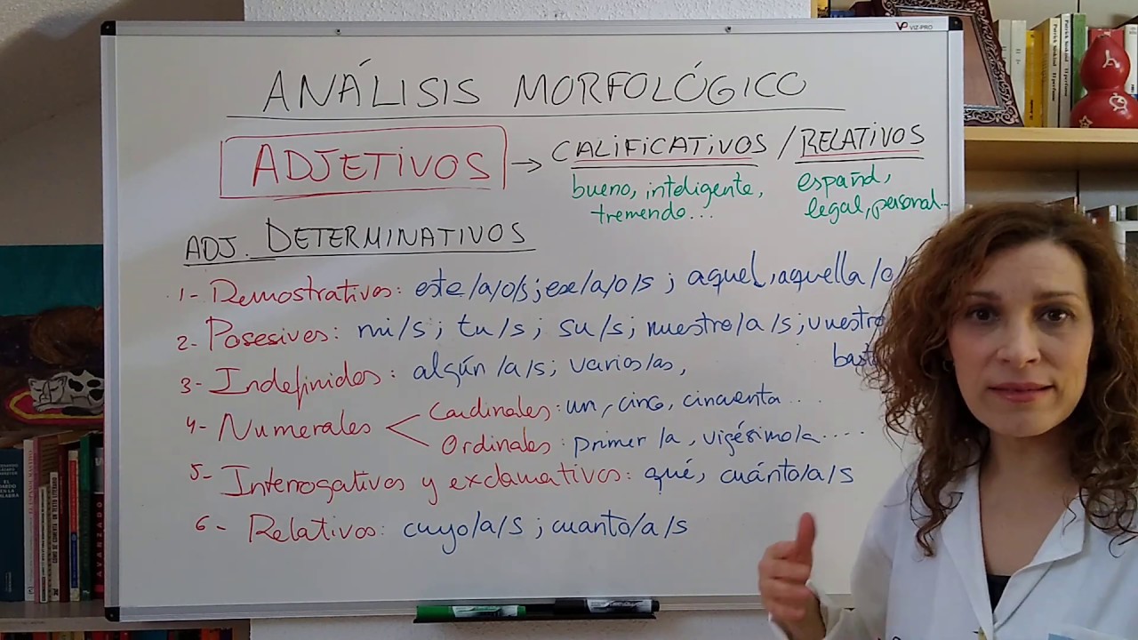 Mo. 4. Análisis morfológico adjetivos - YouTube