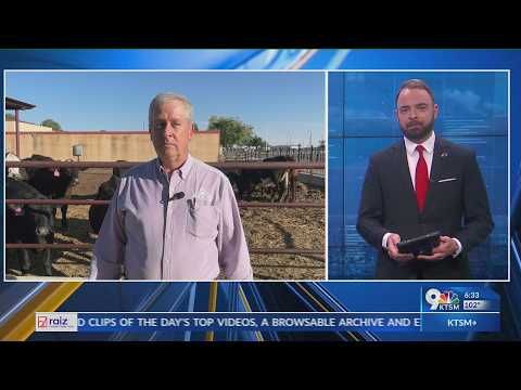 NM Agriculture Secretary on 1st screwworm case, actions being taken