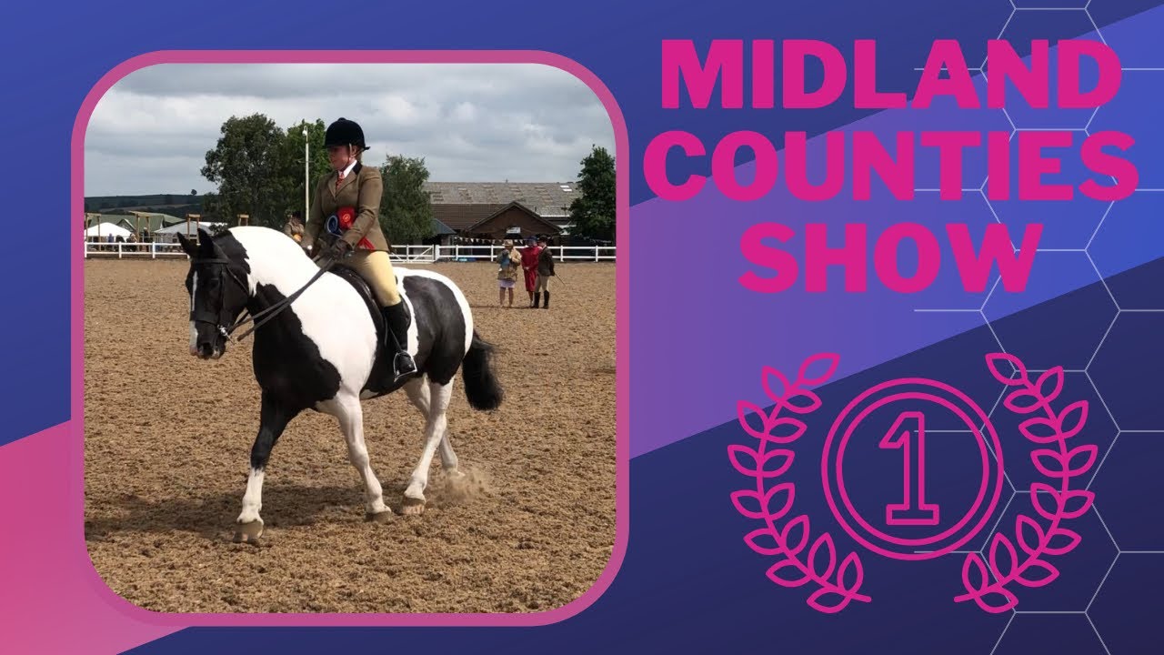 Midland Counties Show- Cob Class/showing/coloured horse - YouTube