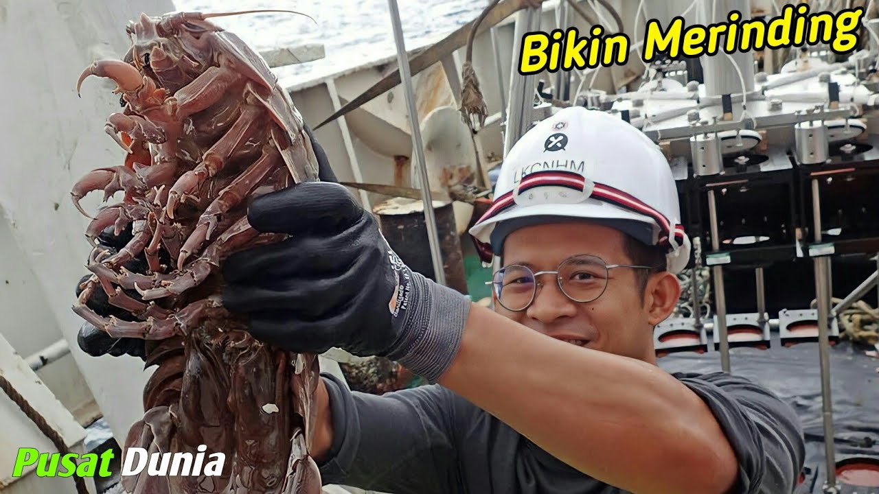 Kecil saja bikin takut apalagi besar ?? Inilah Kecoa Terbesar di Dunia ...