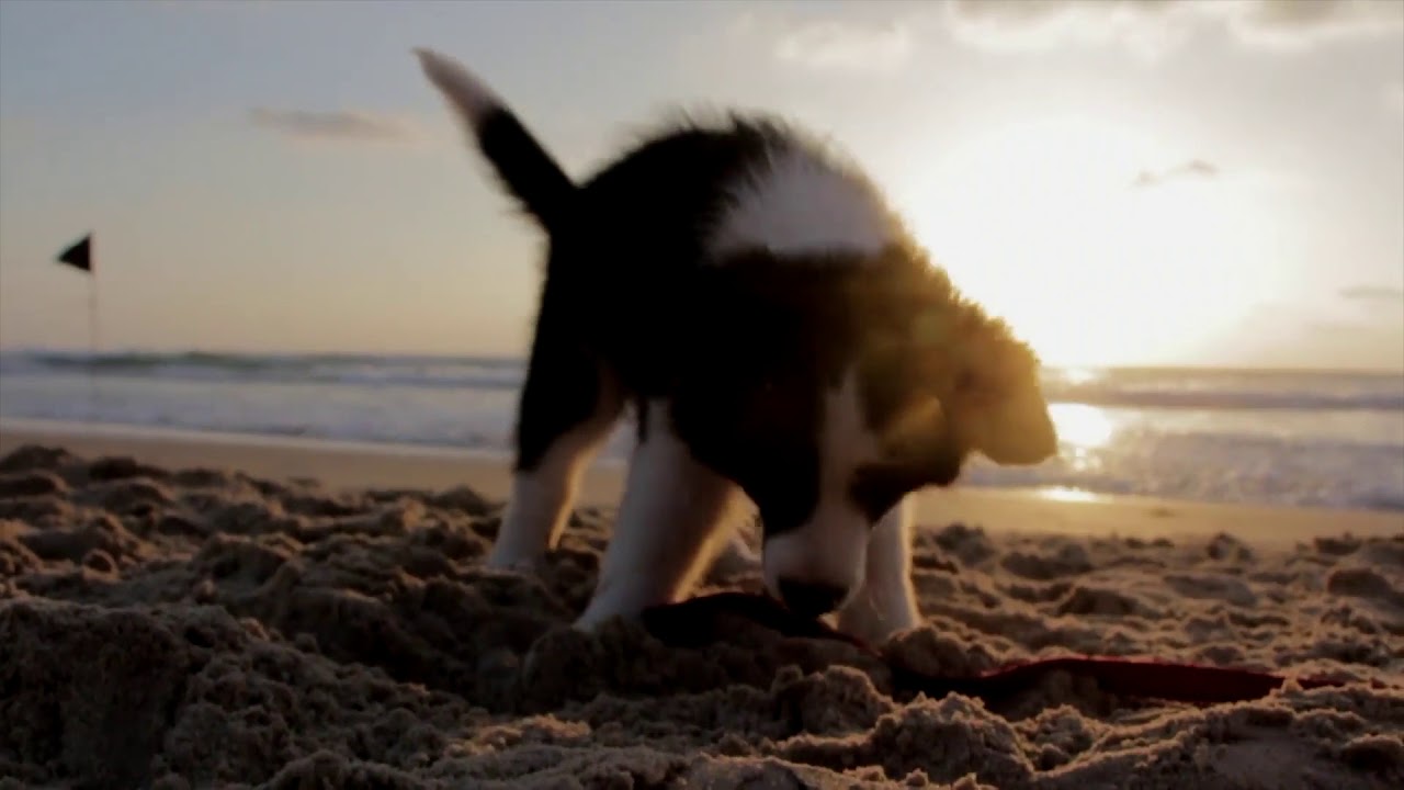 RetroVision - Cake (Music Video) - YouTube