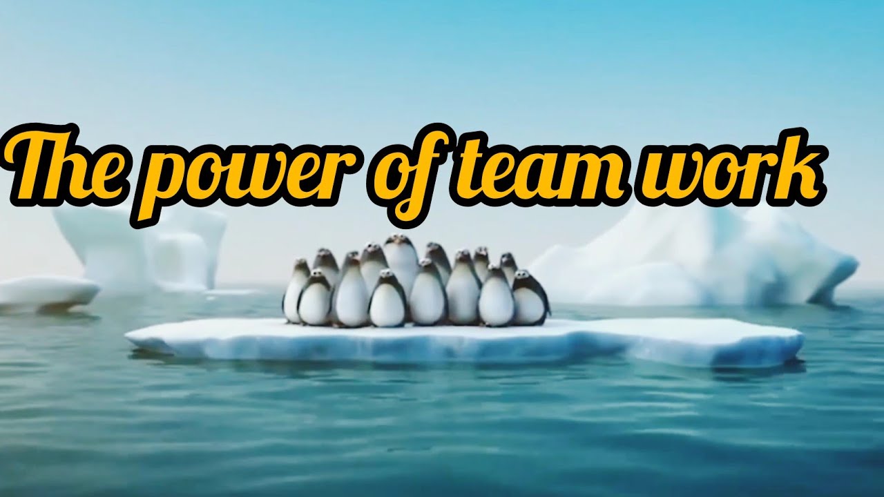 THE POWER OF TEAM WORK.... _ 3d Animation - YouTube