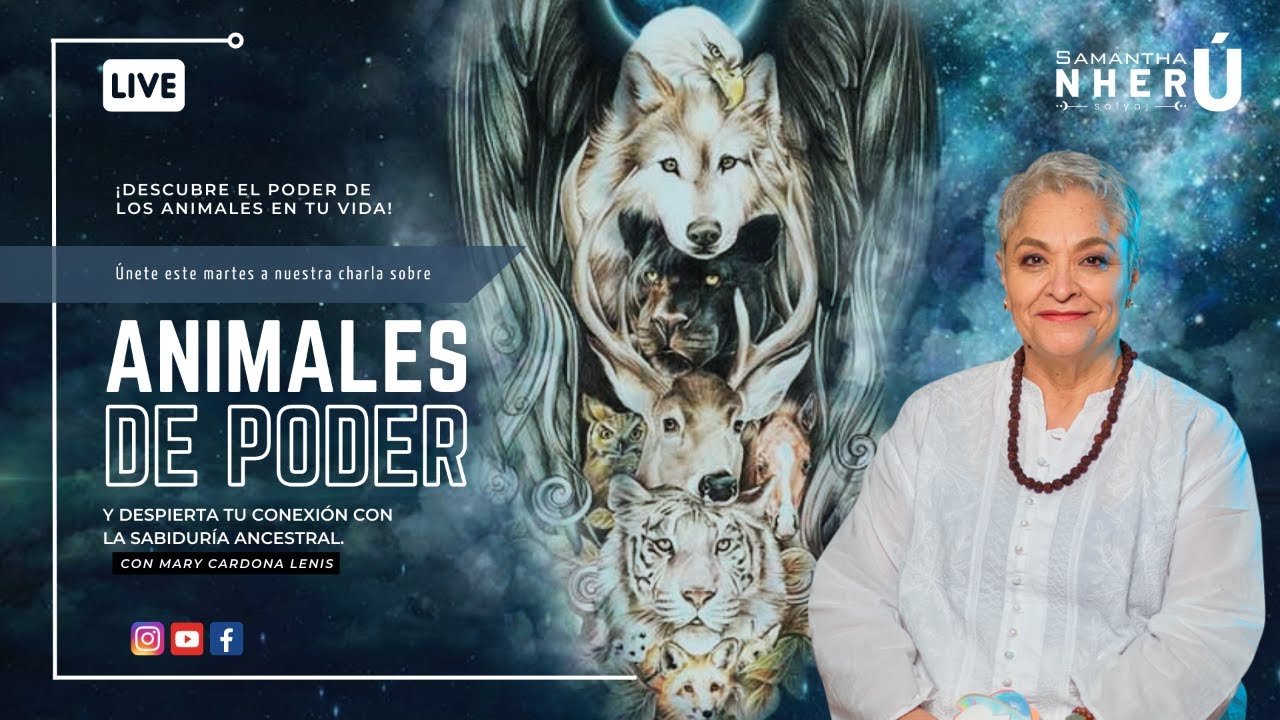 ANIMALES DE PODER - MARY CARDONA - YouTube