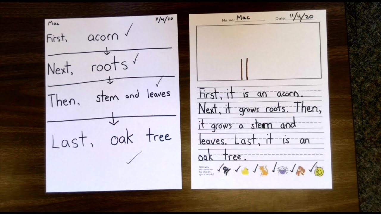 How To Use A Flow Map | Graphic Organizer | Writing | Oak Tree | Time ...