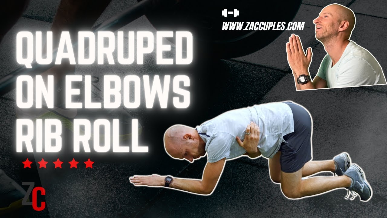 Quadruped on Elbows Rib Roll - YouTube