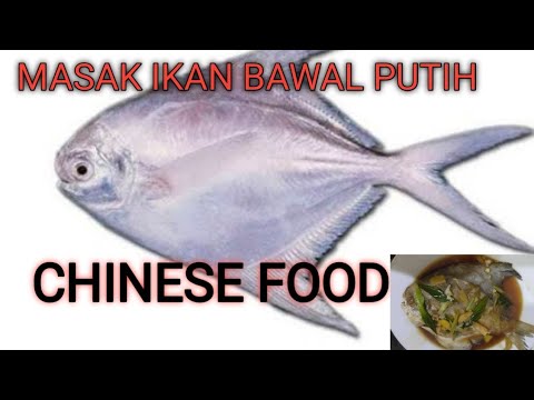MASAK IKAN ALA CHINESE FOOD Resep Baru - YouTube