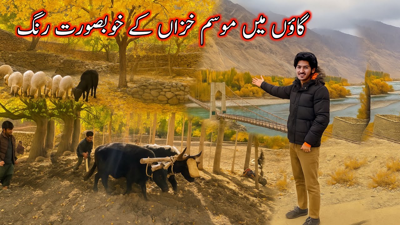 Autumn Season in Beautiful Village | Gilgit Baltistan | Gulshan e Kabir ...