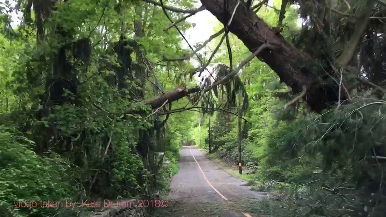 Storm Damage New Fairfield, CT - YouTube