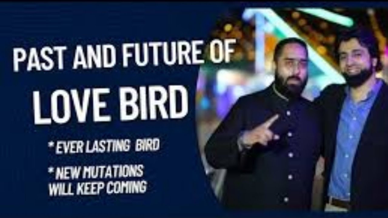 Naveed Shikh sir or Rahim Sir ki ihmeyat #video #vlog #lovebirds #viral ...