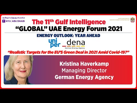 “Realistic Targets for the EU’S Green Deal in 2021 Amid Covid-19?”