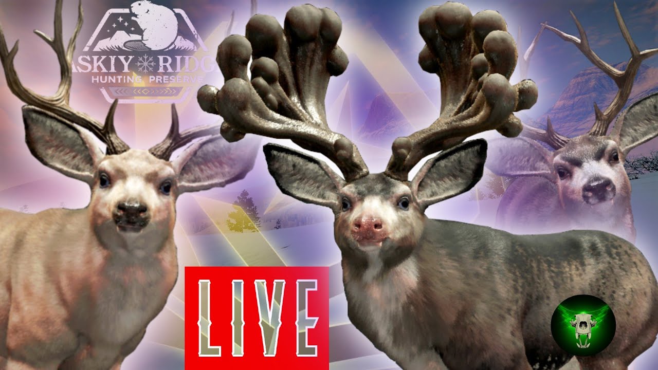 🔴LIVE! Magnificent Moose Monday! - YouTube