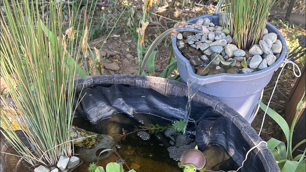 Easy DIY Bog Filter - Barrel Nano Pond - YouTube