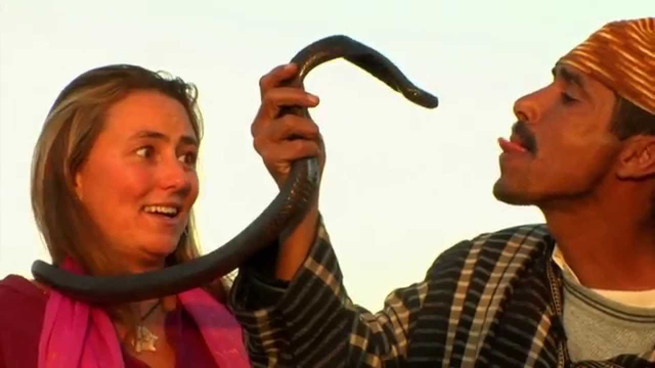 The Fascinating Life of Alison Teal - YouTube