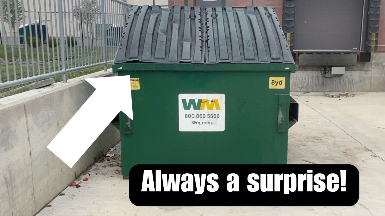 Dumpster Diving on a College Campus for a surprise! - YouTube