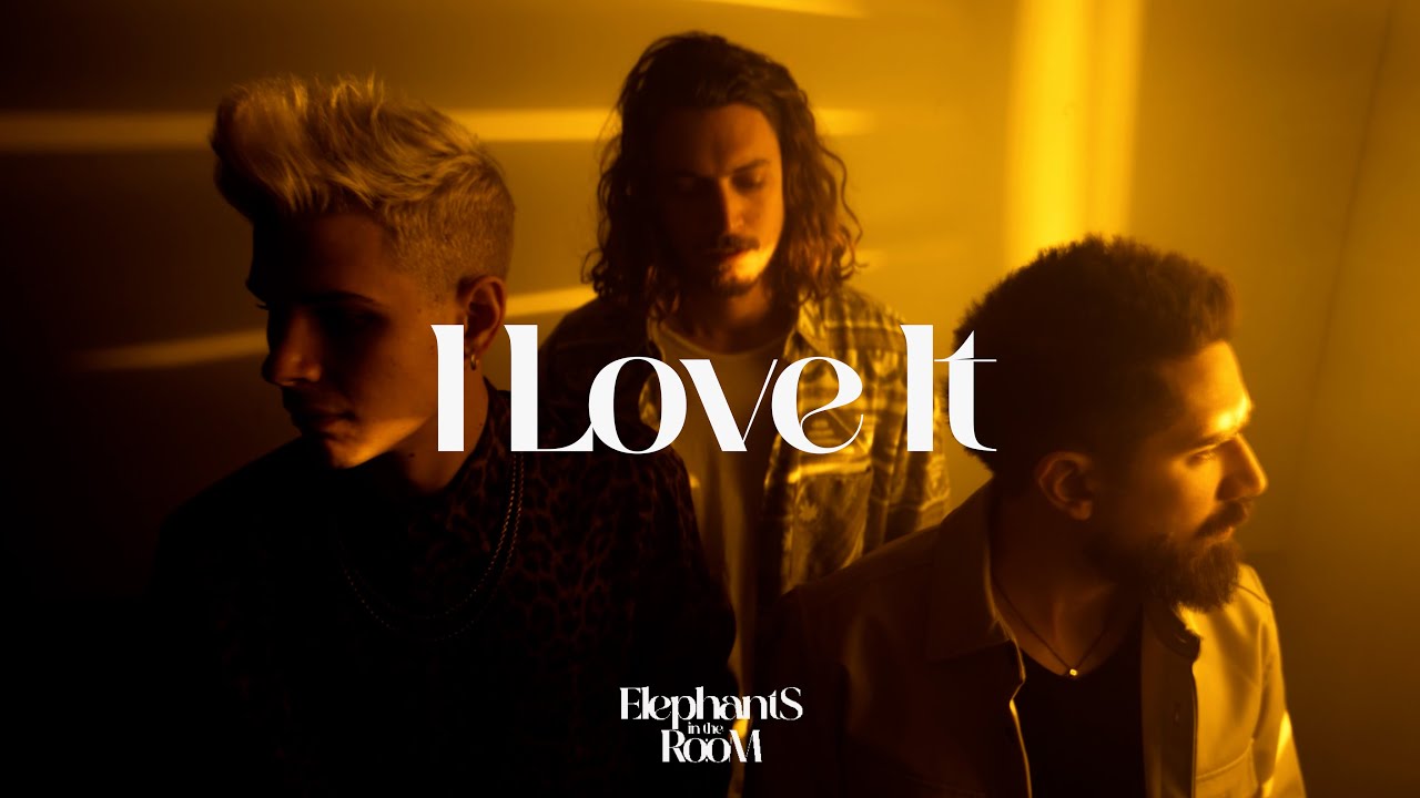 Elephants In The Room I Love It Lyrics YouTube elephants-in-the-room-i-love-it-lyrics-youtube