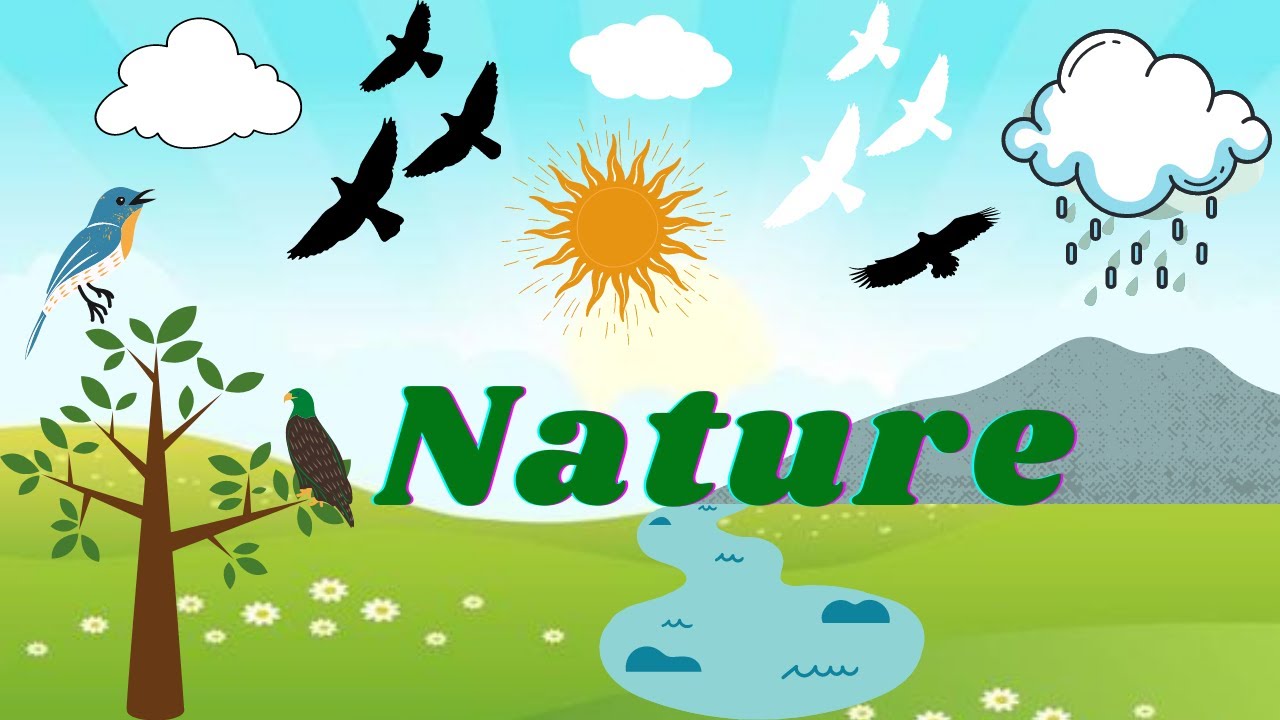 Nature | Nature Vocabulary for Kids - YouTube