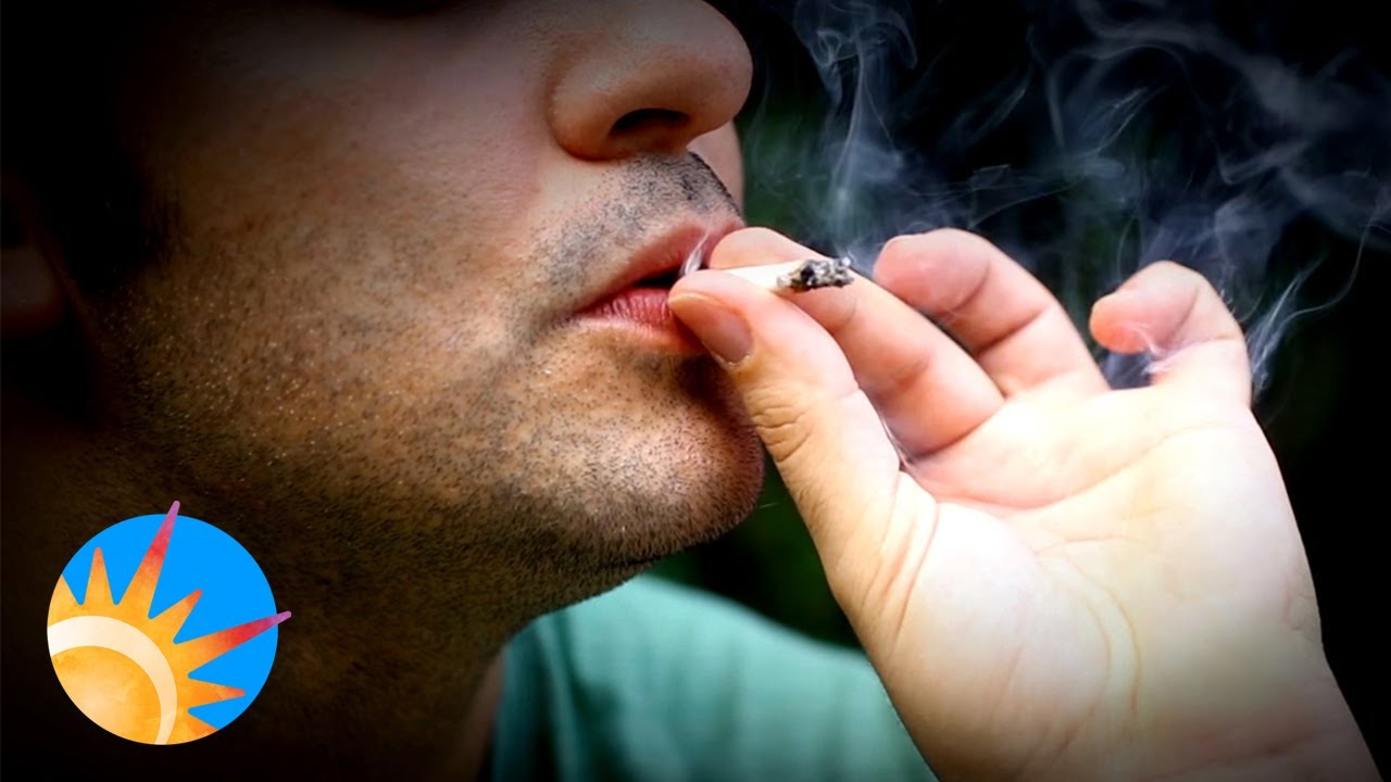 Prop. 207 would legalize marijuana in Arizona, but it does a lot more ...