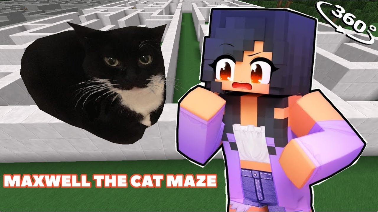 WHAT did Aphmau Found in MAXWELL The CAT MAZE in Minecraft! 360° - YouTube