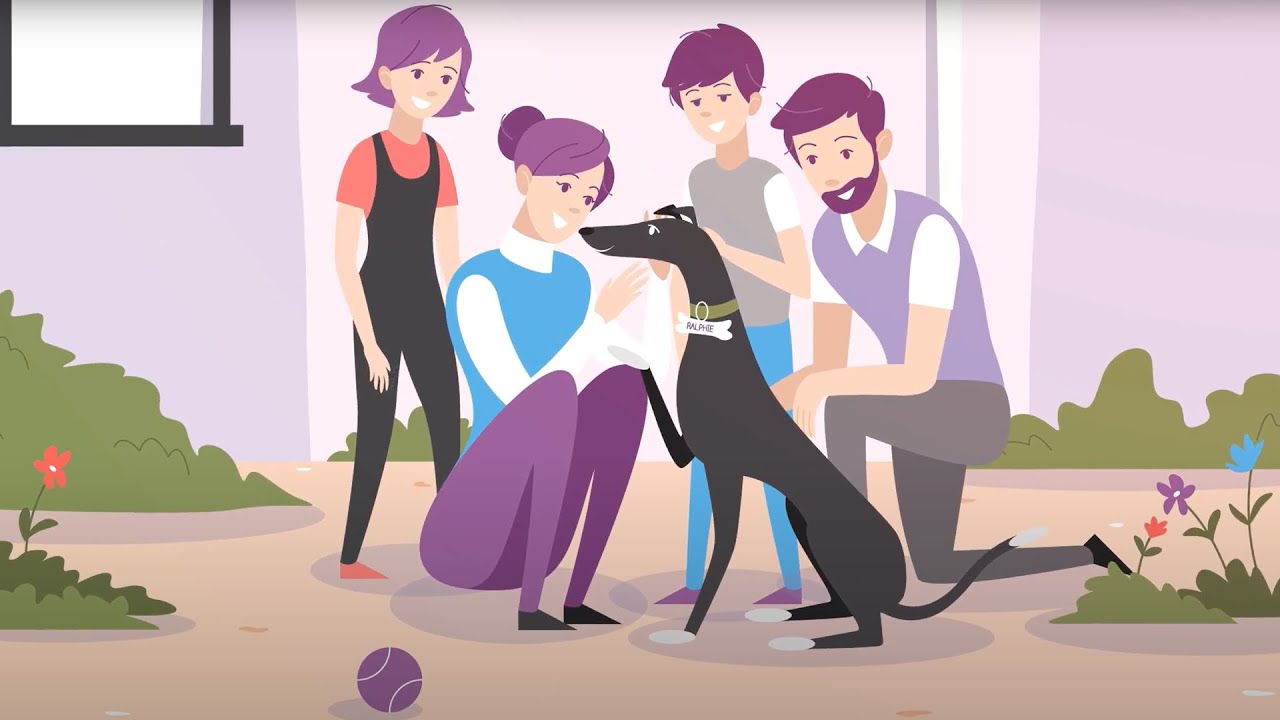 Explainer Video | GAPSA Animation (Cartoon Animation) by Modeo Media ...