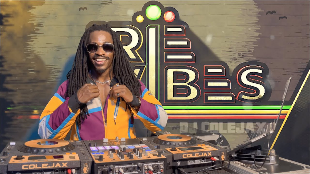 DJ COLEJAX - IRIE VIBES 7 | REGGAE MIX | SHAGGY, ALAINE, BUSY SIGNAL ...