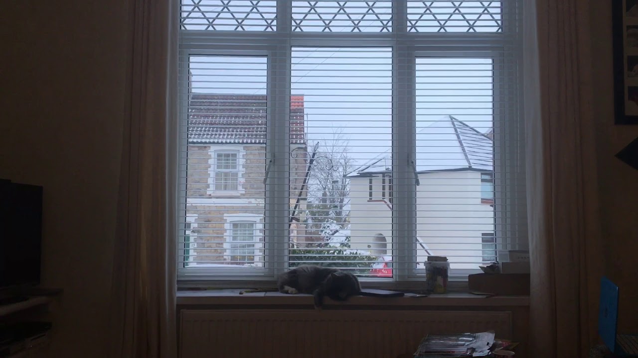 Mi Welais i Sawl Jac y Do yn #LlandochauFach - YouTube