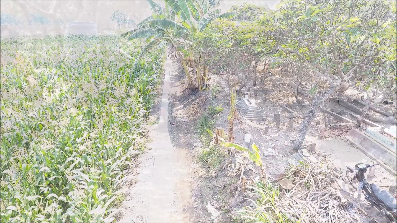 P3-TGAI DESA BLIMBING KEC.GUDO KAB JOMBANG PROGRES FISIK 50% TAHAP 1 ...