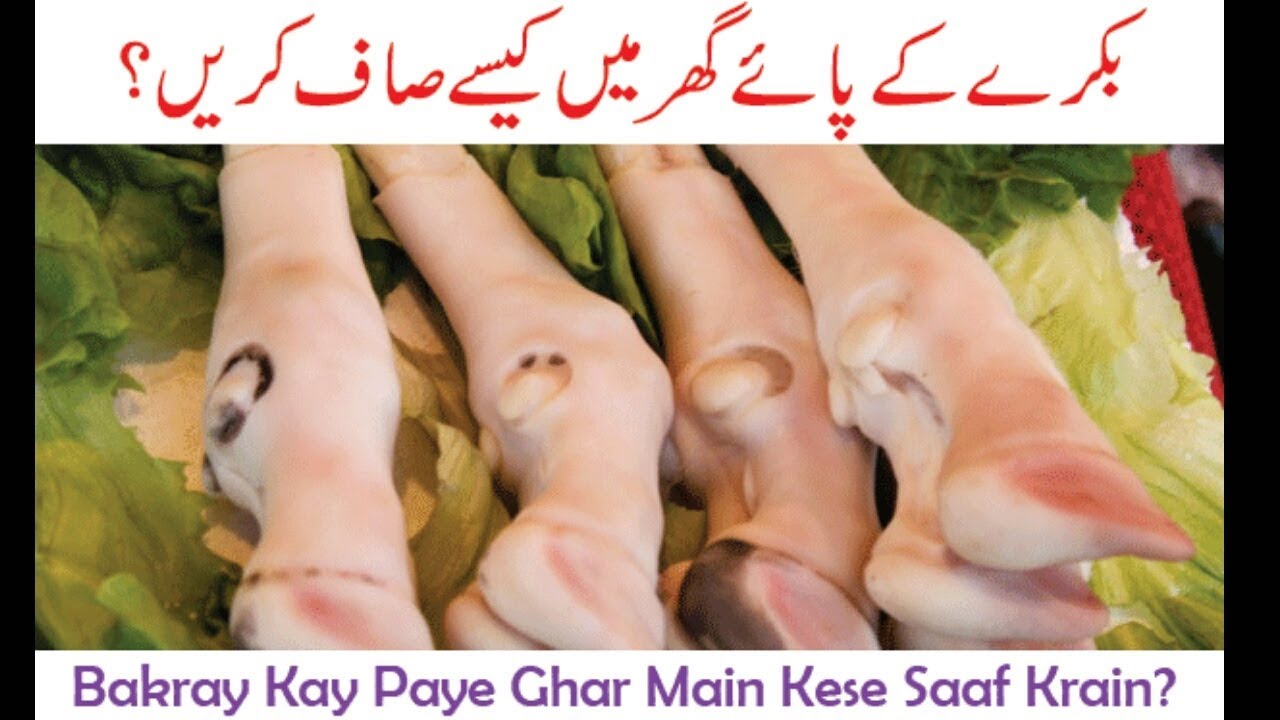 Mutton Paya Easy way to Clean & Wash MUTTON PAAYA - YouTube