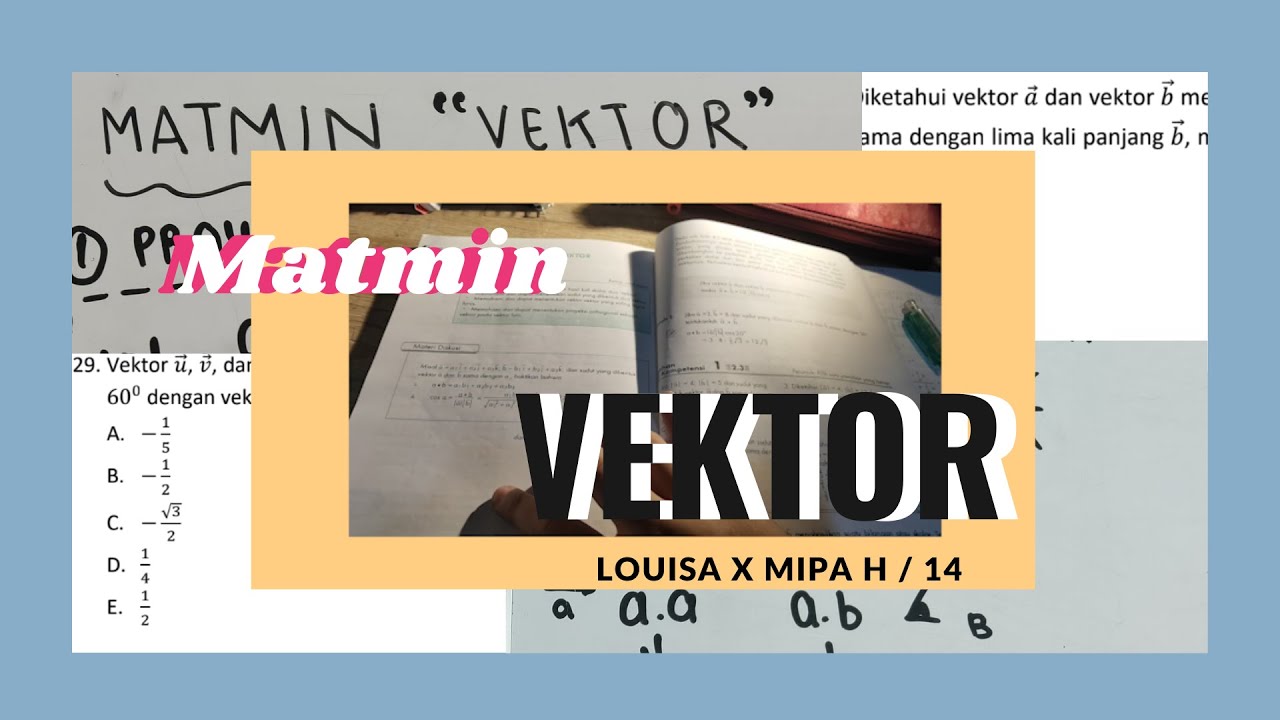 Matmin - Vektor ! // Louisa M (14) - YouTube